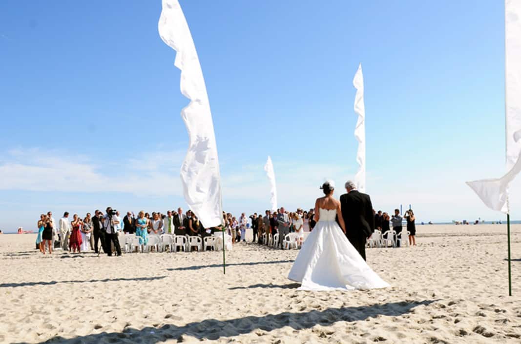 Feather Flags - A Professional Edge to your Event